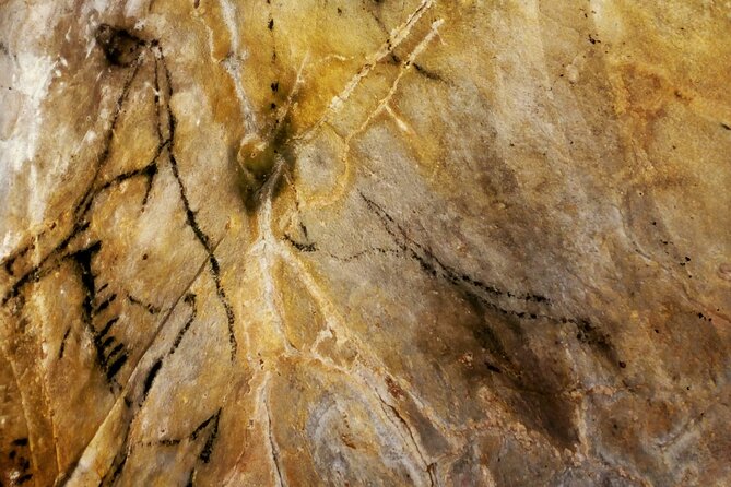 The Castillo Caves and Paleolithic Art - Small Groups - What to Expect on Your Tour