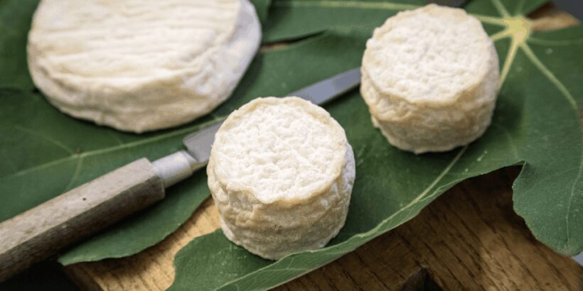 The cheeses and goats of the Roero. - Authentic rural life in Piedmont: Why it matters