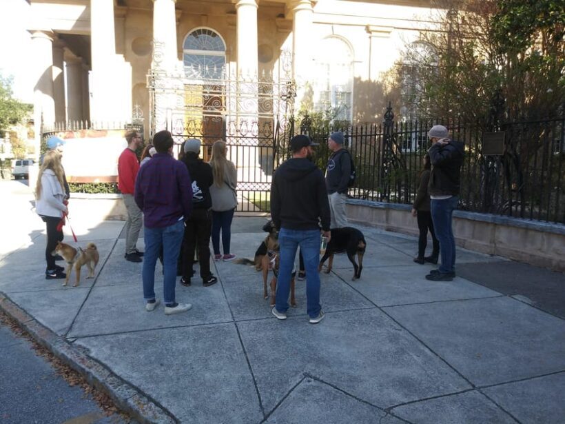 The Chicora Walk (History Walking Tour) - What to Expect on the Walk