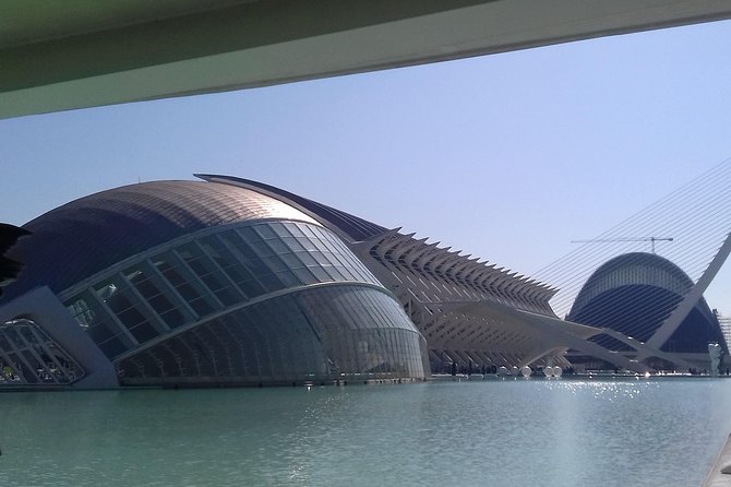 The City of Arts and Sciences in Valencia - Visitor Experiences and Ratings