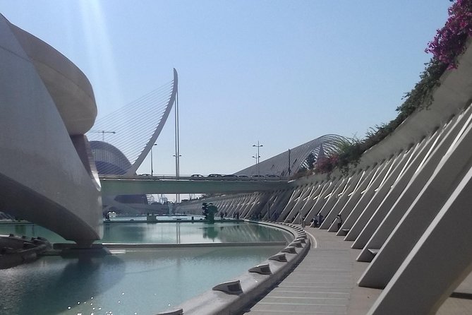 The City of Arts and Sciences in Valencia - Why a Guided Tour Is Recommended