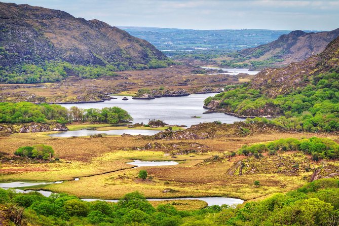 The Classic Ring of Kerry & Skellig Ring Tour - Additional Tour Details
