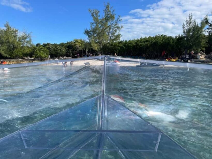 The Clear Boat Experience Bahamas drinks and snacks included - An In-Depth Look at The Clear Boat Experience Bahamas