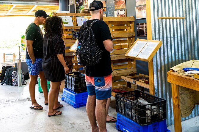 The Coffee Experience - An In-Depth Look at the Tour