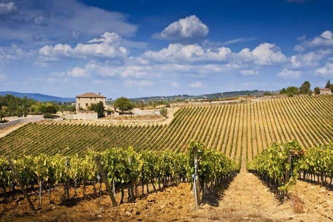 The Complete Wine Tour Brunello, Nobile, Chianti wine experience - Why This Tour Works Well