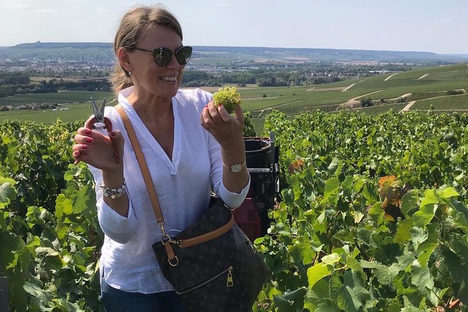 The Connoisseurs From Epernay (Private Half Day Champagne Tour) - Exploring the Champagne Region