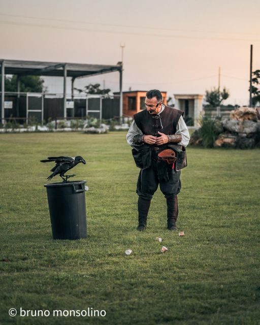 The court of the falconer Masseria Mazzetta - An Overview of the Falconry Experience at Masseria Mazzetta