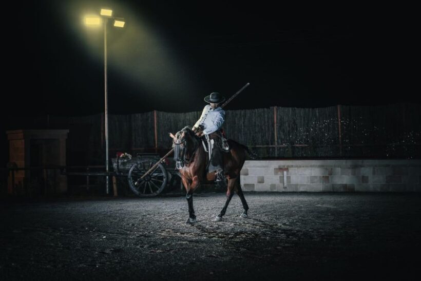 The court of the falconer Masseria Mazzetta - The Sum Up