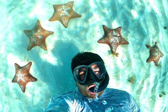 The Cozumel Turtle Sanctuary Snorkel Tour - Final Thoughts