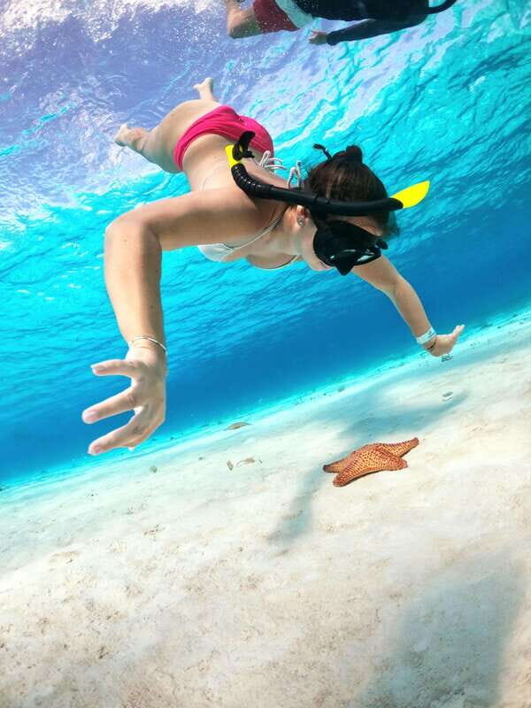The Cozumel Turtle Sanctuary Snorkel Tour - The Itinerary: What to Expect
