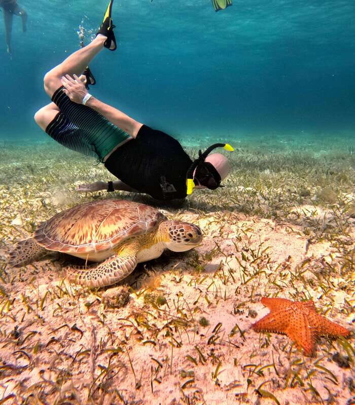 The Cozumel Turtle Sanctuary Snorkel Tour - Who Will Love This Tour?