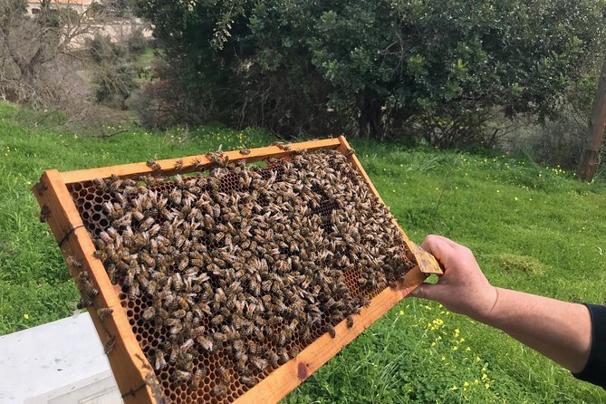 The Cretan Way of Life at the Mountains of Rethymno (Mylopotamos) - Cultural Immersion in Cretan Life