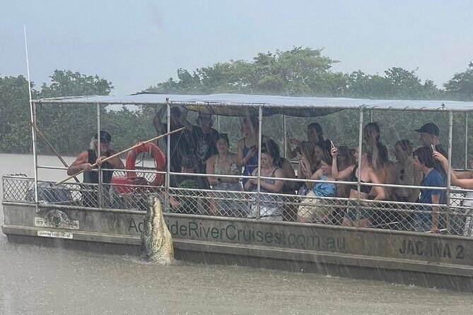 The Croc Bus to the Famous Jumping Crocodile Cruise - Who Is This Tour Best For?