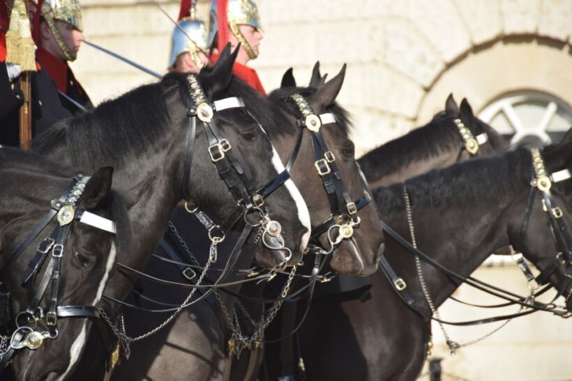 The Crown Walking Tour of London - Who Should Consider This Tour?