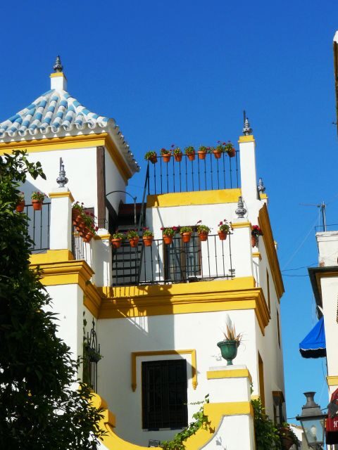 The Cultures of Seville Walking Tour - Who Should Consider This Tour?