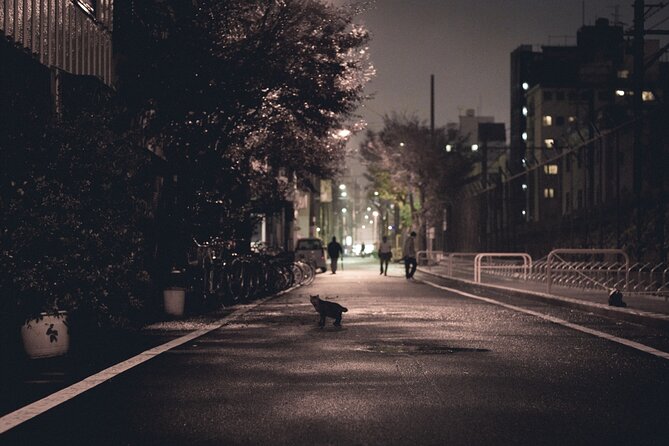 The Dark Side of Osaka Walking Tour - Navigating the Maze of Naniwa