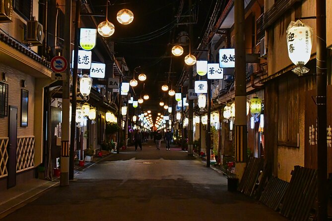 The Dark Side of Osaka Walking Tour - Encountering the Unseen Residents of Osaka