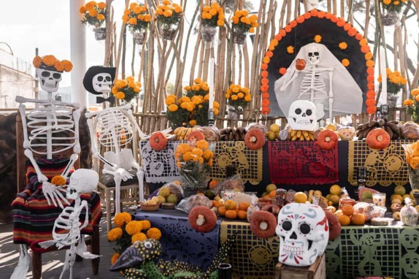 The Day of the Dead Private Tour in Mexico City - An In-Depth Look at the Tour