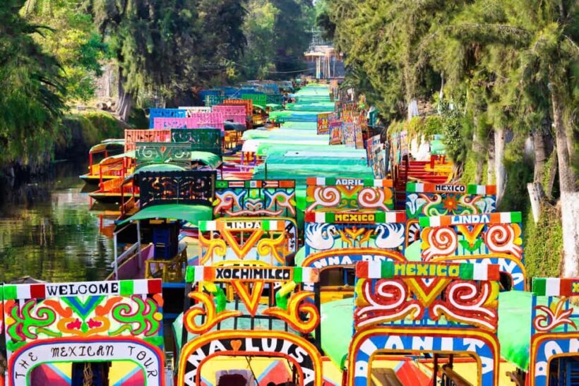 The Day of the Dead Private Tour in Mexico City - The Sum Up