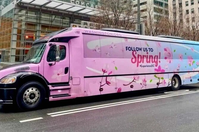 The DC Cherry Blossom Tour - Feedback From Previous Guests