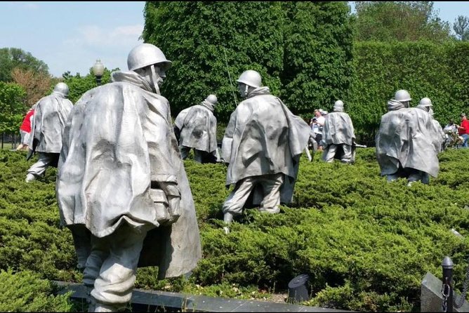 The DC Cherry Blossom Tour - Exploring the Cherry Blossoms