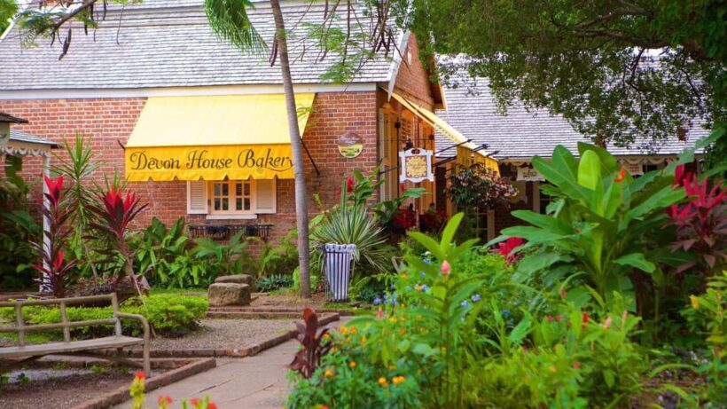 The Devon House Guided City Tour - An In-Depth Look at the Tour Experience