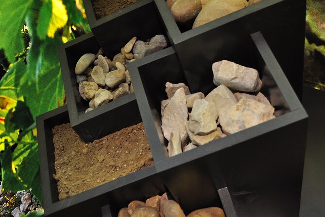 The Discovery Trail at Maison Brotte - Earning the Badge of Excellence