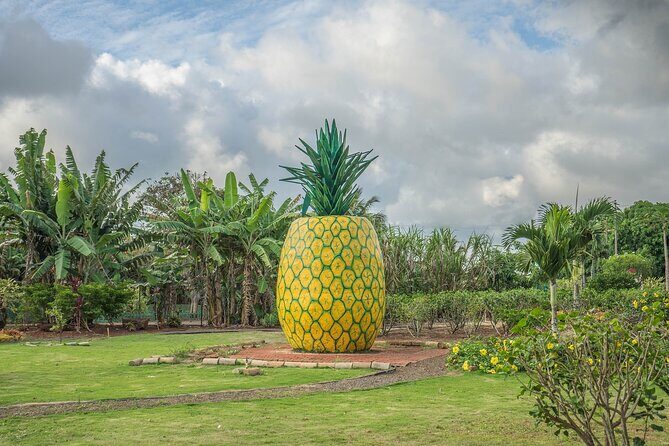 "The Dole Plantation" & "North Shore" Private Limousine VIP Tour! - A Detailed Look at the Itinerary