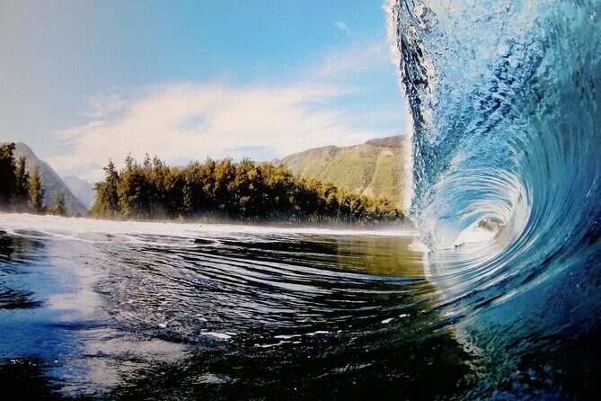 "The Dole Plantation" & "North Shore" Private Limousine VIP Tour! - Who Should Consider This Tour