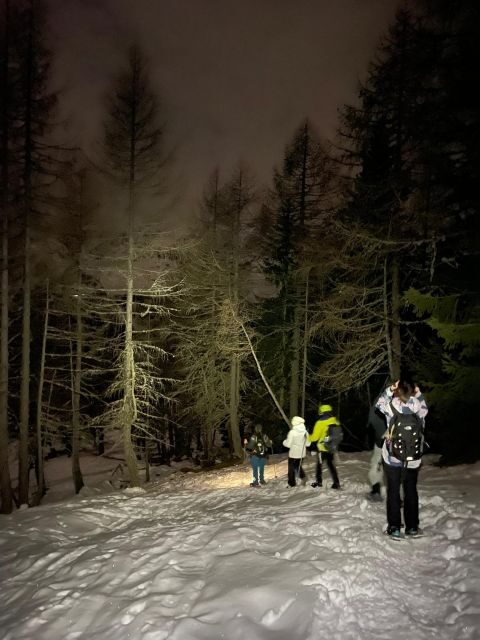 The Dolomites at night with snowshoes - The Equipment and Group Experience