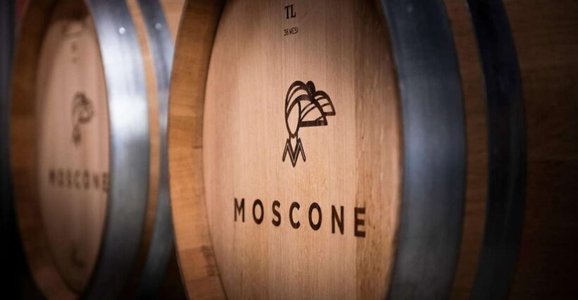 The Dosman: Winetasting in La Morra - Exploring La Morra’s Winetasting: What to Expect