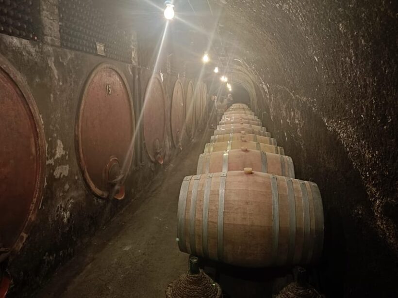 The Dying City "Civita Bagnoregio" w/wine tasting from Port - Key Points