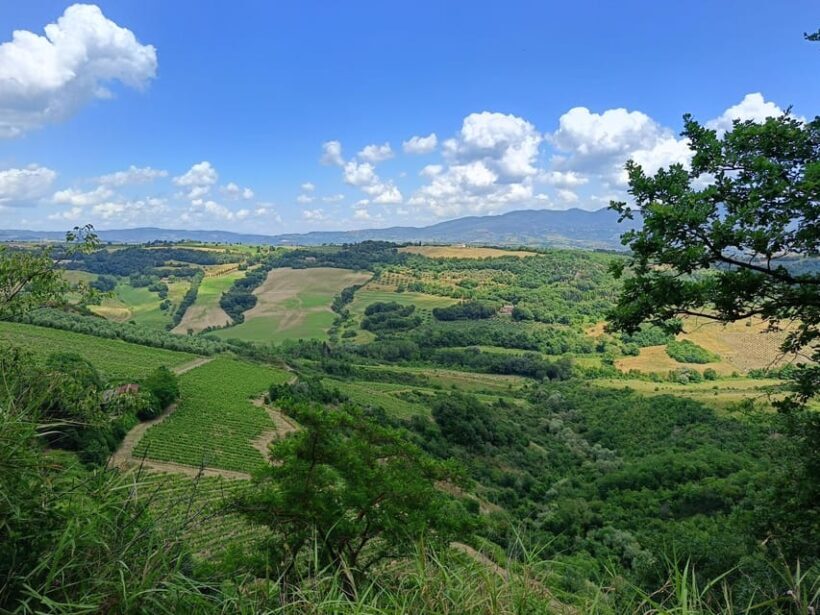 The Dying City "Civita Bagnoregio" w/wine tasting from Port - Final Thoughts