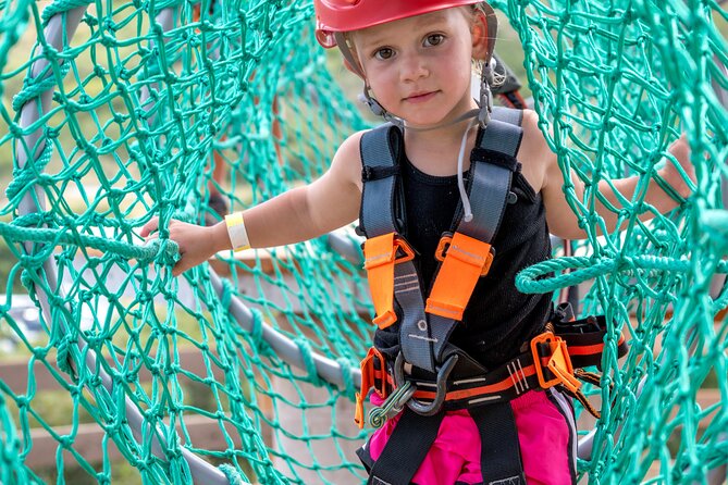 The EDGE: Epic Sky Trek - Navigating the Aerial Obstacles