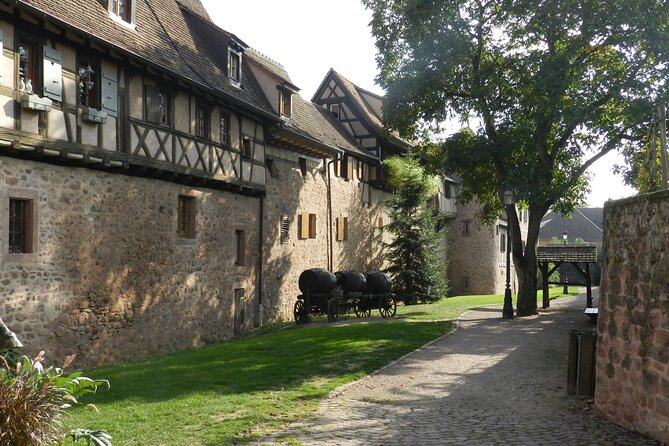 The Emblematic Review: A Wine Lover's Delight - Enhancing the Experience