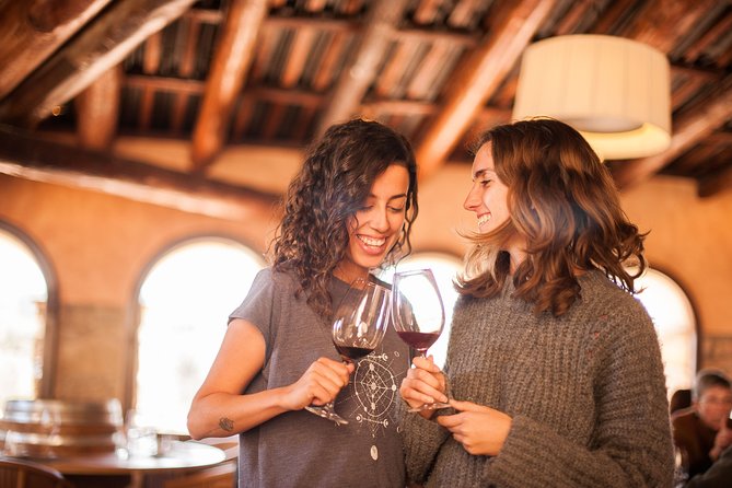 The Essence of Priorat | Private Wine Tour from Barcelona - An Authentic Day in the Priorat Vineyards