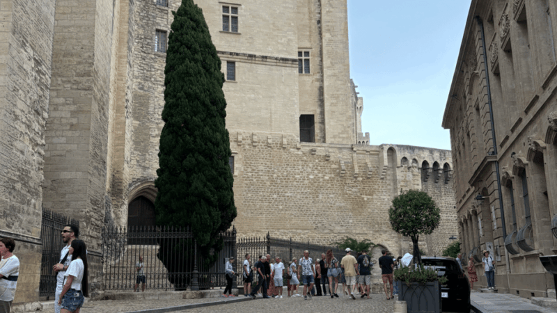 The Essence of Provence : Avignon, St Rémy, les Baux, Arles - An In-Depth Look at the Tour Experience