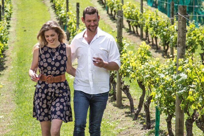 The Essence of Waiheke Wine Tour - Key Points
