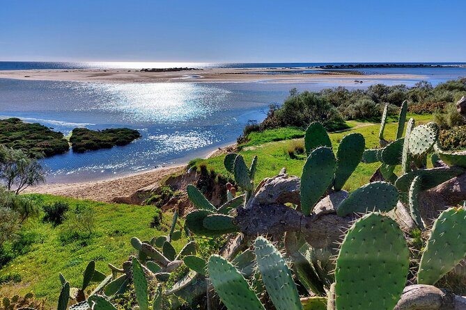 The Essential Algarve Relocation Tour! - Authentic Experiences and Honest Insights