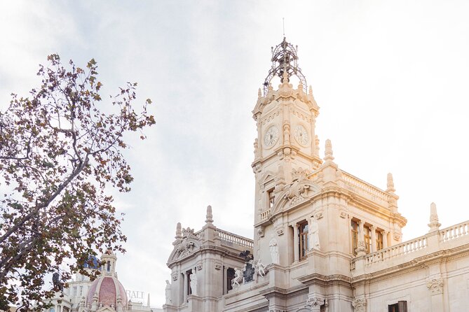 The Essentials of Valencia in a Guided Tour - Highlights of the Valencia Tour