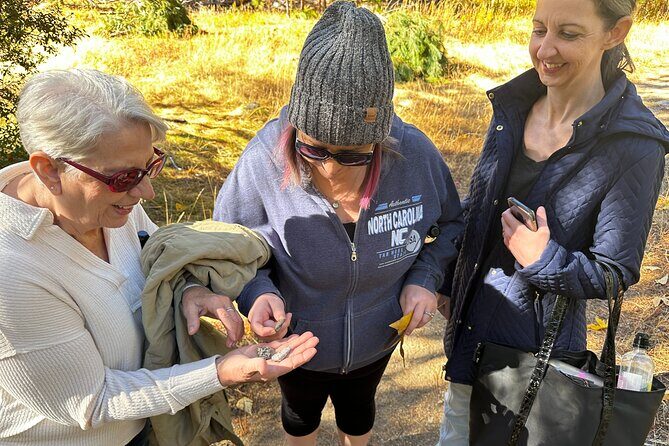 The Evolution of Yosemite 3 Hour Hiking Tour - Exploring Yosemite Valley