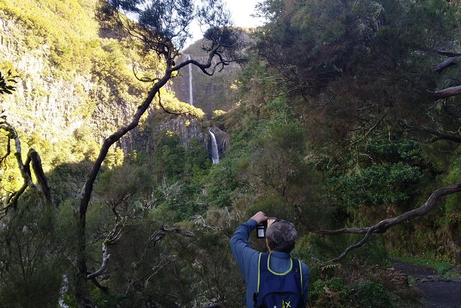 The Fantastic Cascades - Guest Experiences and Feedback