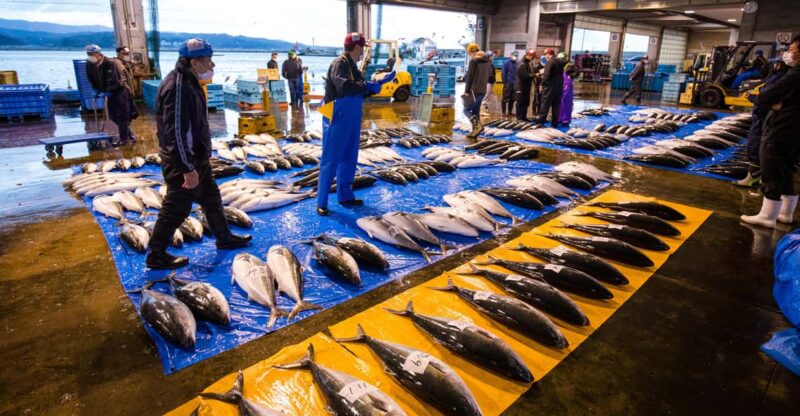 The Finest Ocean Gastronomy Tour. - Itinerary