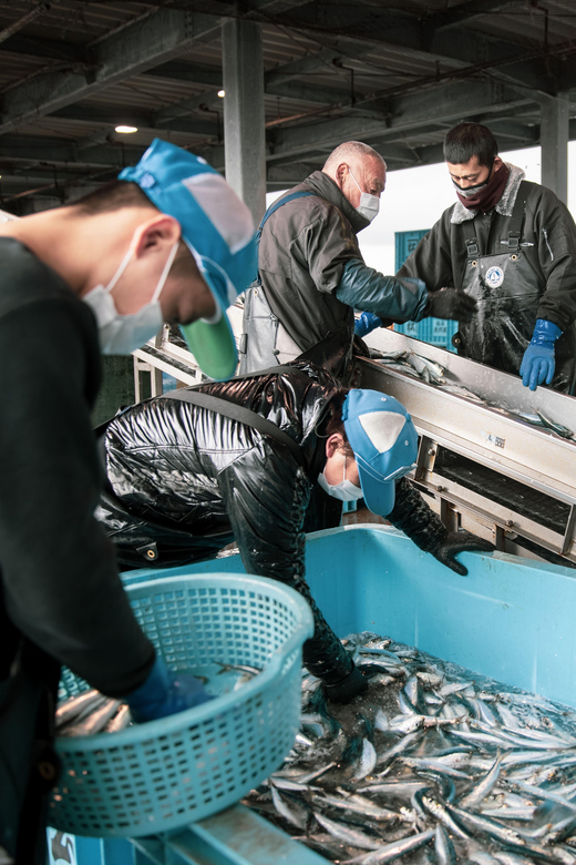 The Finest Ocean Gastronomy Tour. - Exploring Himis Fishing Culture