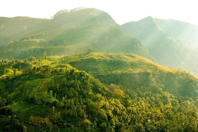 The Finest of Ceylon (16 Days) - Why This Tour Works for Different Travelers