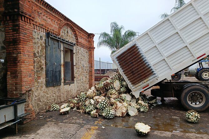 The Fire TOUR - Pyramids, Volcanoes, Agaves & Tequila - Final Thoughts