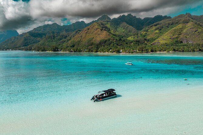 The Floating Bar Moorea - VIP Private Boat Tour - Final Highlights & Return