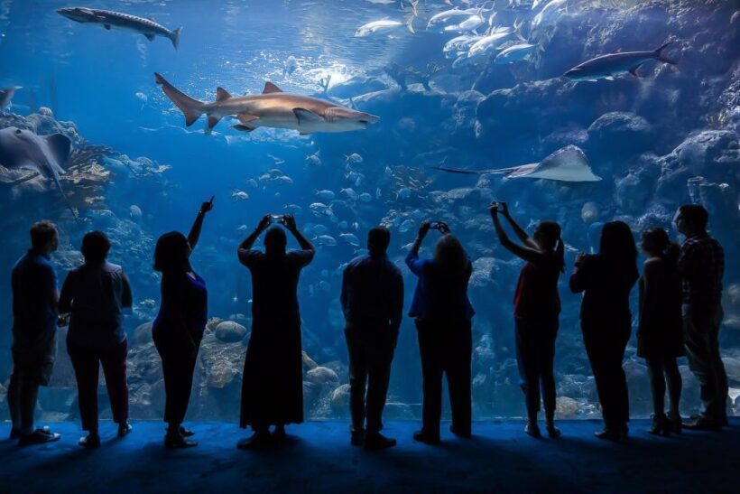 The Florida Aquarium Ticket - Hands-On and Educational Shows