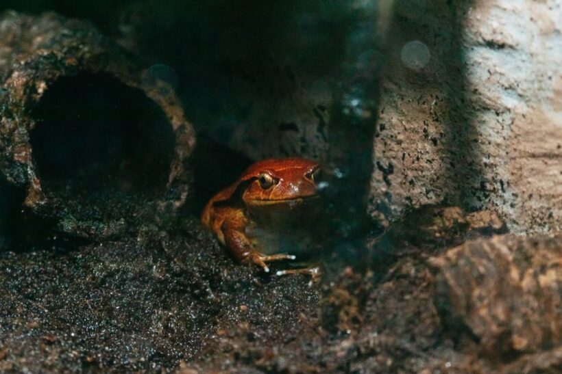 The Florida Aquarium Ticket - Practical Details: Access, Pricing, and Amenities