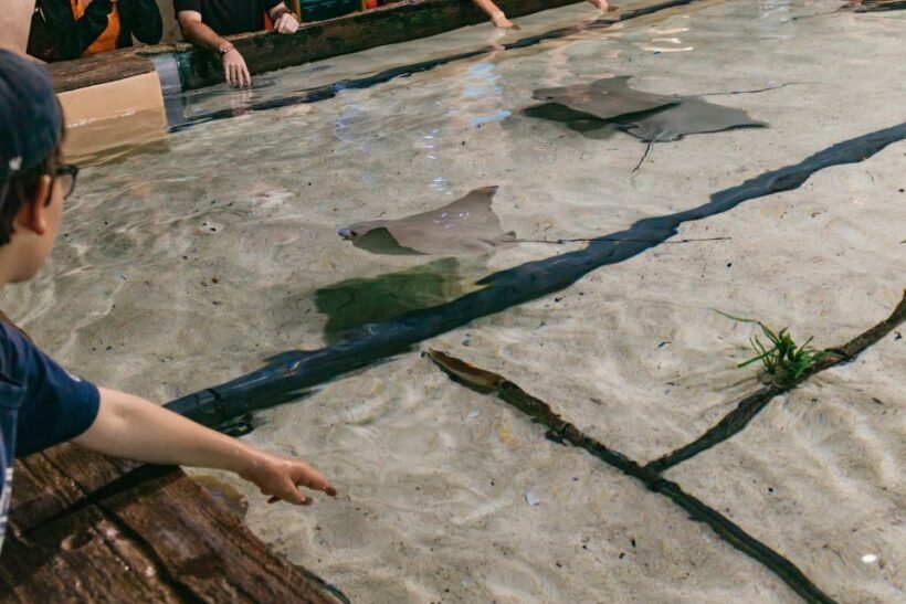 The Florida Aquarium Ticket - Conservation and Educational Mission
